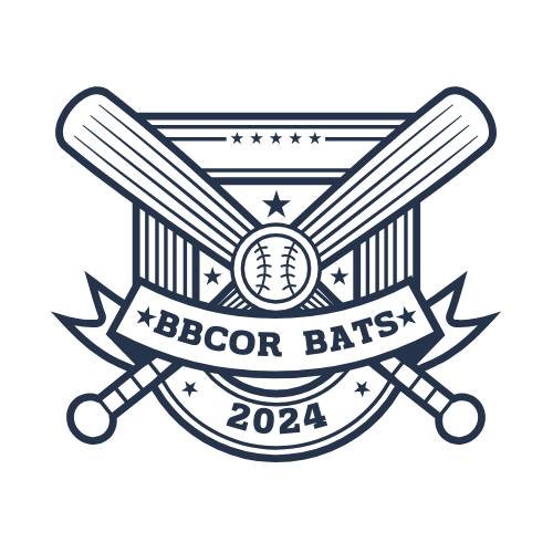 Best BBCOR Bats 2024